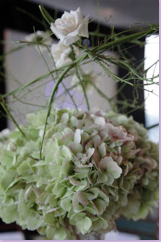 COTE DE TEXAS: Courtney Caplan - Rising Star!